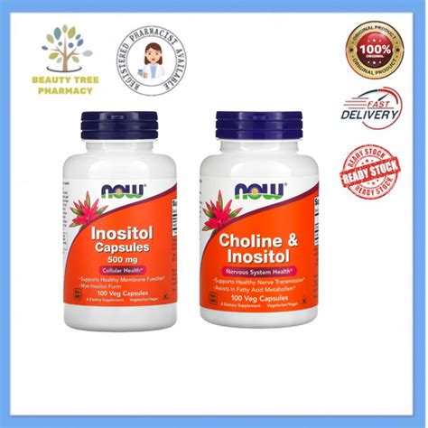 Now Foods Inositol Choline And Inositol 100 Veg Capsules Shopee Malaysia