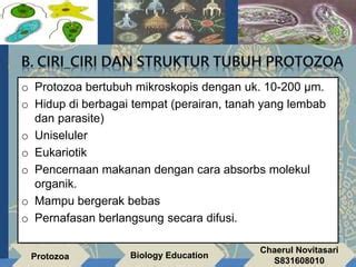 Protozoa PPT REVISI Pptx