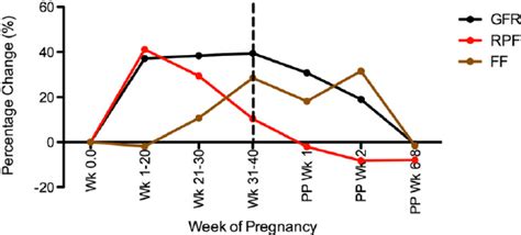 Percentage Increment In GFR RPF And FF As Measured By Inulin Or Download Scientific Diagram