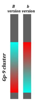 Sex And Sociality The Genetics Of Being Different Accumulating Glitches Learn Science At