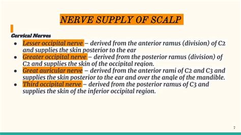 Scalp Nerve Blood Supply PPTX