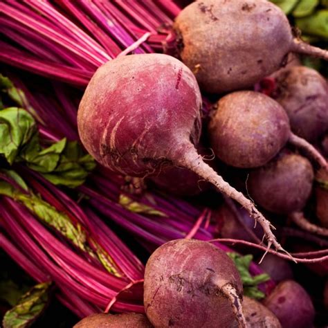 Is Beet A Vegetable 7 Important Beets Health Benefits