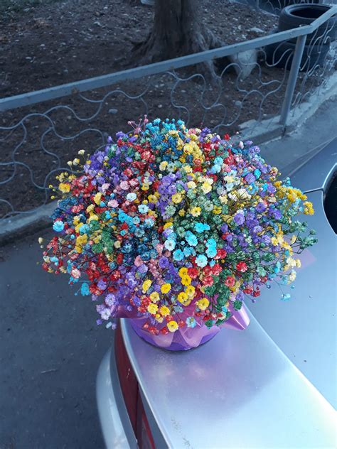 ყვავილები რუსთავში კესანე ყვავილები რუსთავში კესანე