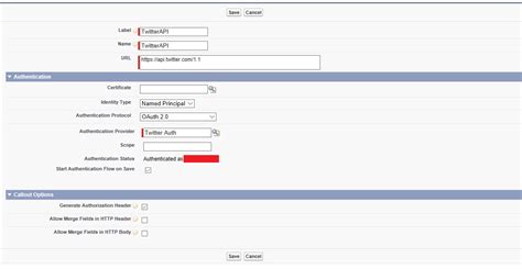 Callout Named Credentials Not Working With Twitter Api Salesforce