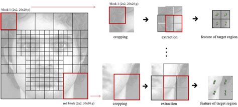 Adaptive Feature Extraction With Padding Download Scientific Diagram
