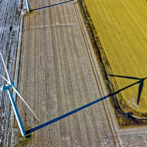 Collision Mitigation Spoor