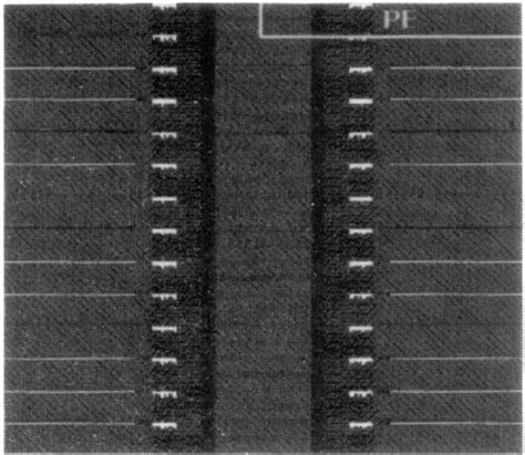 Figure 1 From Design Of A Reconfigurable Vlsi Processor For Robot