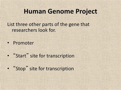 Notes Karyotypes Inheritance Patterns Sex Linked Pedigrees Ppt