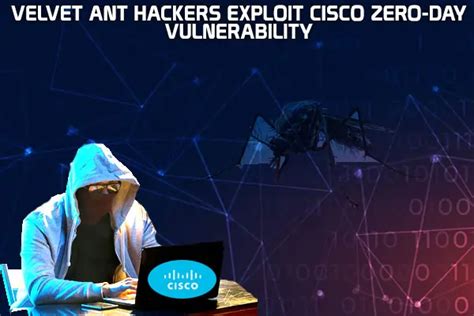 Cisco Targets Zero Day Exploits With Velvet Ant Initiative