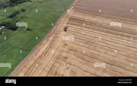 Harvesting Wheat Harvester Agricultural Machinery In Operation Stock