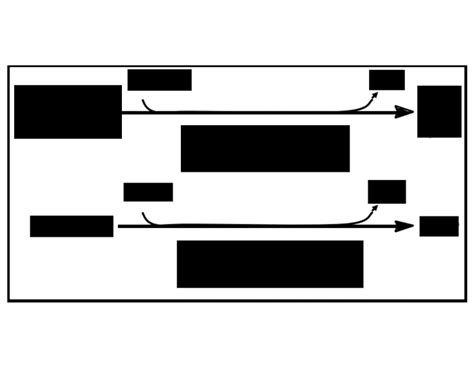 Purine Salvage Pathways Quiz