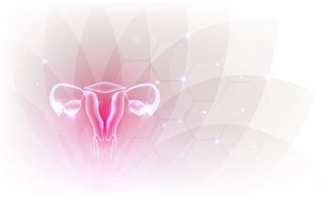 Puberty Vaginal Development 20 Best Puberty Images On Pinterest