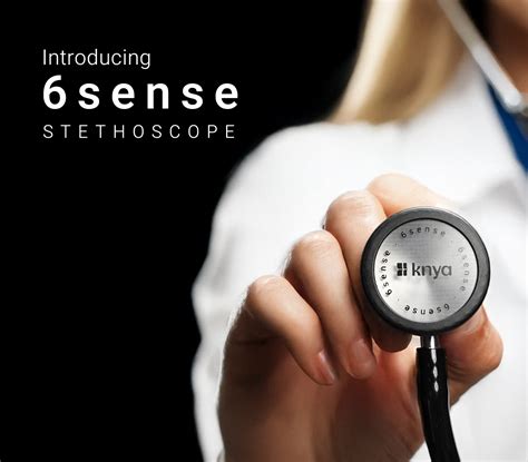 Blastomere Vs Blastocyst Key Differences In Early Embryo Development