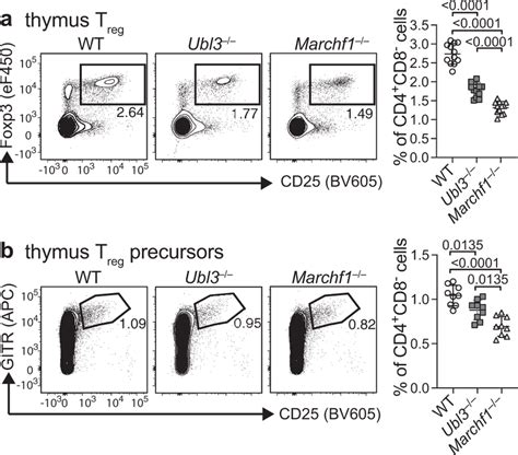 Ubl3 Is Required For Normal Thymic Treg Development Quantification Of A