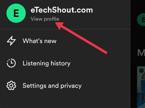 How To See Who Views Your Spotify Profile