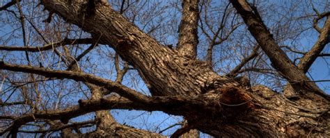 Custom Gitlab Pipeline Notifications To Microsoft Teams Dev Community