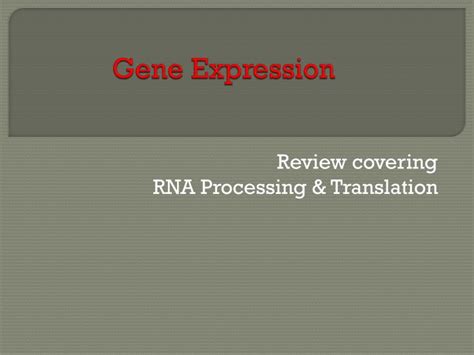 PPT Gene Expression PowerPoint Presentation Free Download ID 4808247