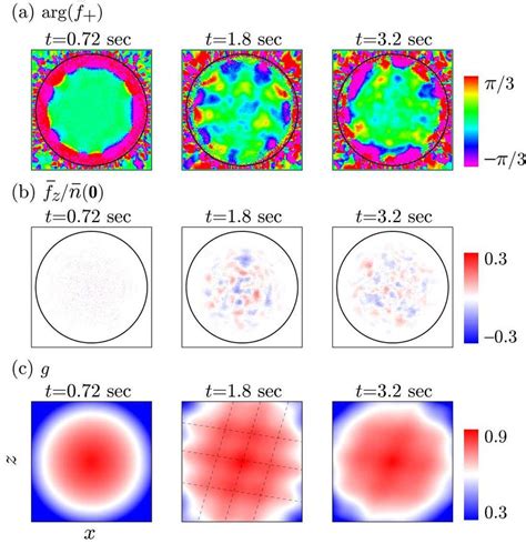 Color Time Evolution Of A The Transverse Magnetization B The