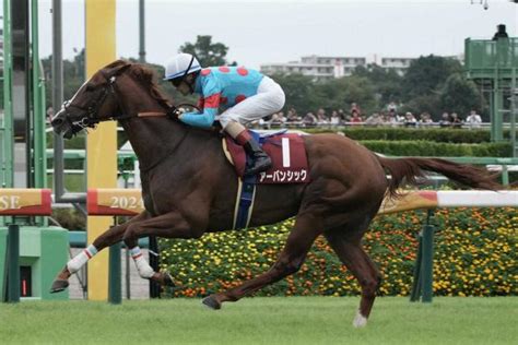 Win5歴代3位の低額配当1万140円、1番人気4連勝からセントライト記念は2番人気アーバンシックv 競馬ニュース Netkeiba
