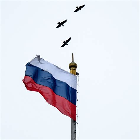 ОХУ ын эрх баригчид гадаадын эрчим хүчний 31 компанид хориг тавьжээ МОНГОЛ ТВ