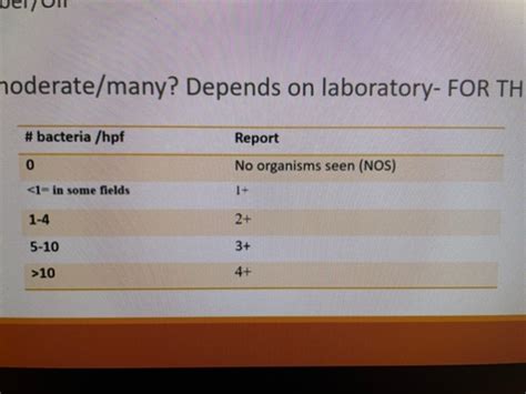 Bacteria Shapes Sizes And Arrangements Flashcards Quizlet