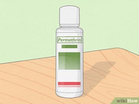 How To Recognize A Scabies Rash With Pictures