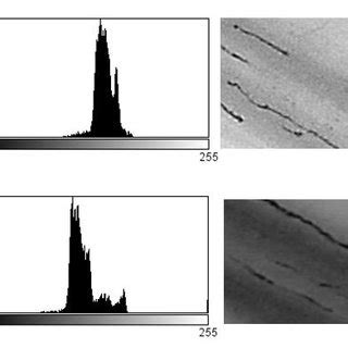 PDF Automatic Pavement Cracks Detection Using Image Processing