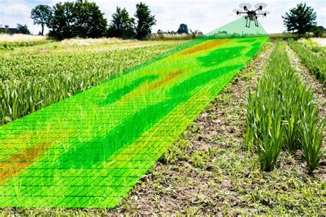 100 Guaranteed Lidar Annotation Services India