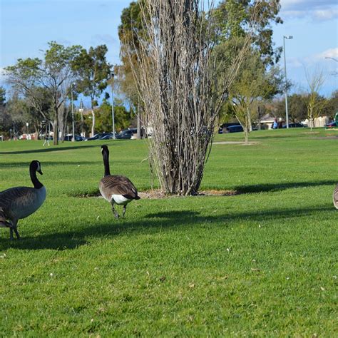 Don Knabe Community Regional Park Cerritos Lohnt Es Sich