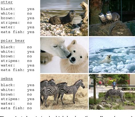 Figure 1 From Learning To Detect Unseen Object Classes By Between Class Attribute Transfer