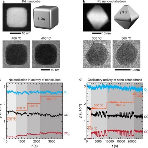 Operando Transmission Electron Microscopy Tem Of Pd Nanocube And Download Scientific Diagram
