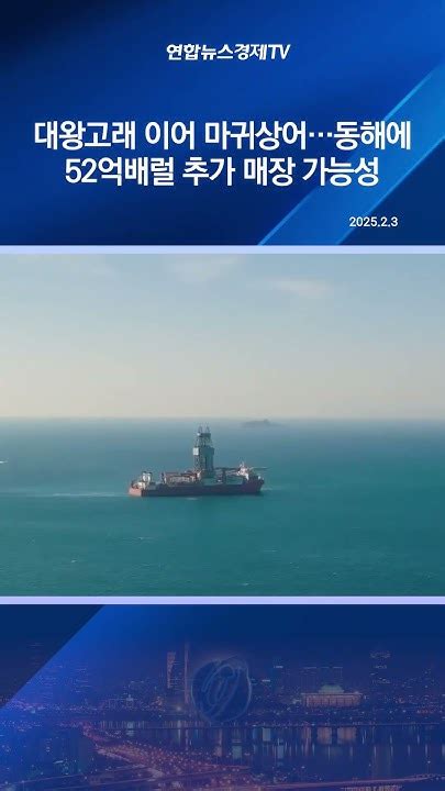 대왕고래 이어 마귀상어…동해에 52억배럴 추가 매장 가능성 Youtube