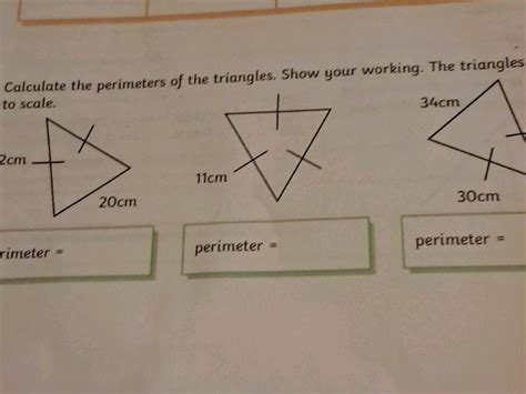 Calculate The Perimeters Of The Triangles StudyX