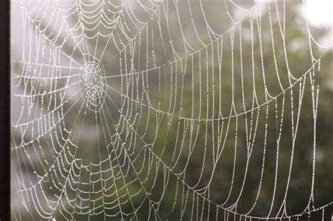 Microservices Architecture Revolutionizing Backend Web Development Kmf Blogs