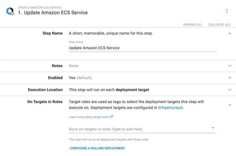 Update Amazon Ecs Service Octopus Deploy