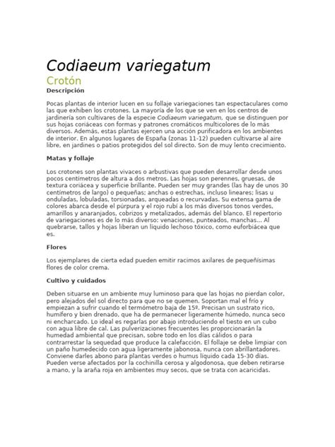 Codiaeum Variegatum Pdf