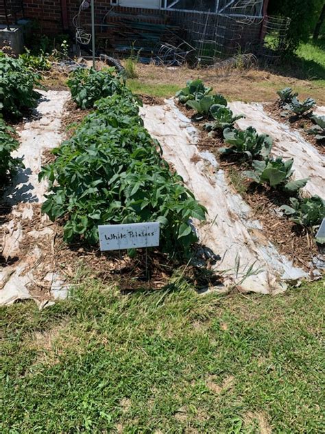 Perrys Lazy Crazy Garden System