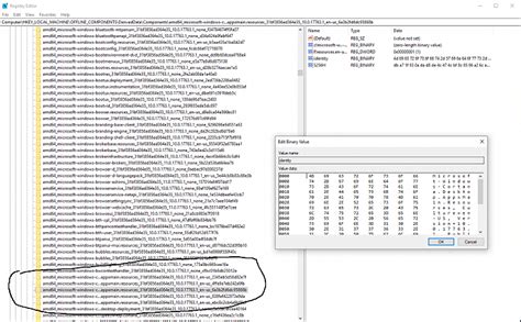 Meaning Of Last 16 Characters In Winsxs Directories Windows 10 Forums