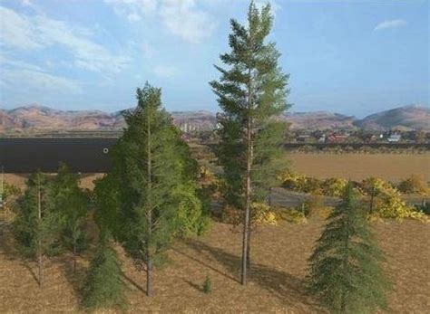 Placeable Logging Trees V10 Fs17 Farming Simulator 17 Mod Fs 2017 Mod Placeable Logging Trees V10 Fs17 Farming Simulator 17 Mod Fs 2017 Mod