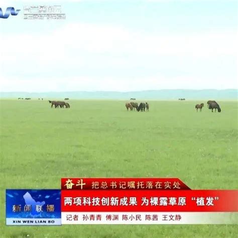 【奋斗 把总书记的嘱托落在实处】两项科技创新成果 为裸露草原“植发”草种乡土林草