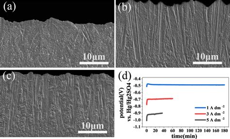 Effect Of Current Density On Nanotwin Formation Cross Sectional Sem Download Scientific