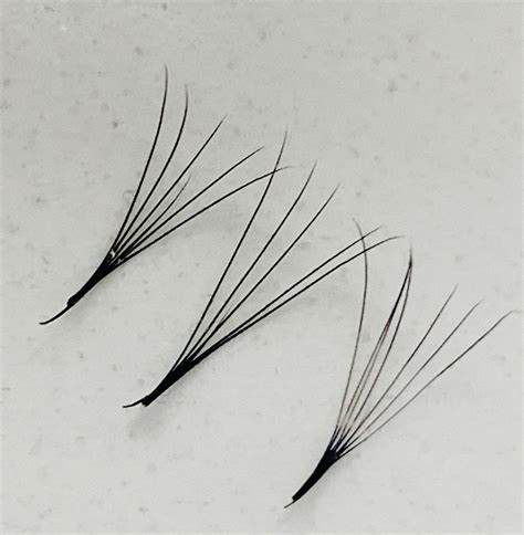 Why Are My Lash Extensions Falling Out