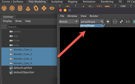 cameras are missing in arnold render view in maya