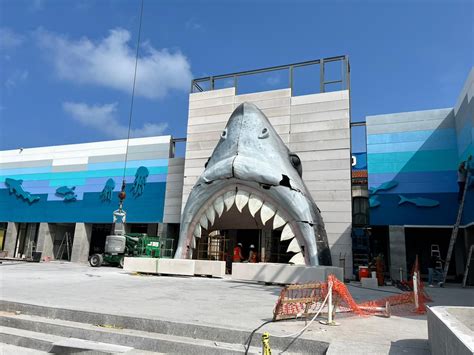 instalan cabeza de tiburón en fachada del aquarium del puerto de