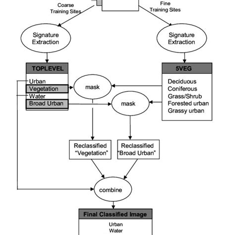 Classification Process Download Scientific Diagram