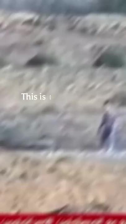 [video] Ali Shan🇵🇸 Posted On Linkedin