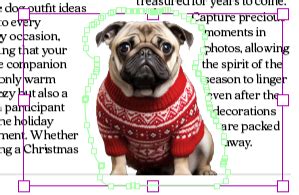 Learn How To Apply Text Wrap Three Ways In Adobe InDesign