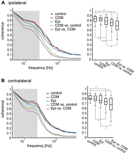Coherence Of Responses Within And Between Different States Of