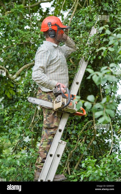 Tree Surgeon Hi Res Stock Photography And Images Alamy