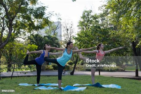 가족 어머니와 딸 요가 매트에 공원 야외 건강 한 라이프 스타일과 휴식의 개념 하에 활동 가냘픈에 대한 스톡 사진 및 기타 이미지 Istock